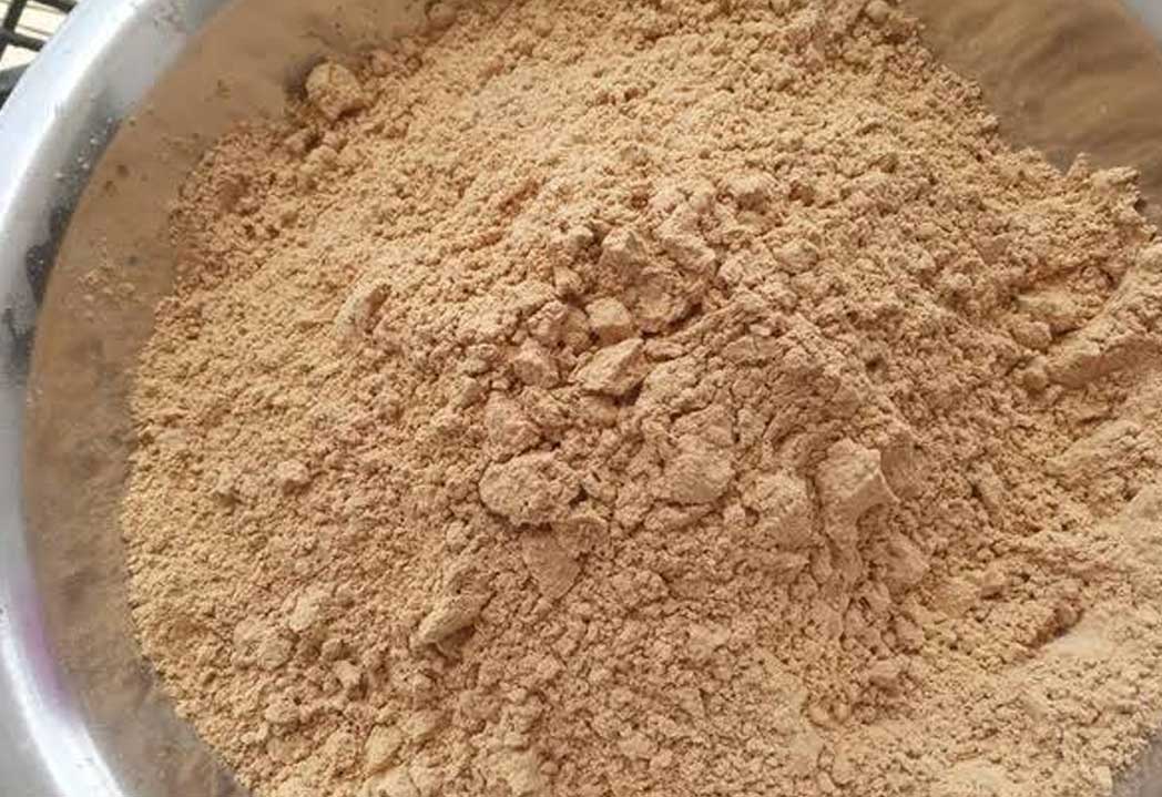 Joss Powder (Litsea glutinosa) – Natural Alchemy